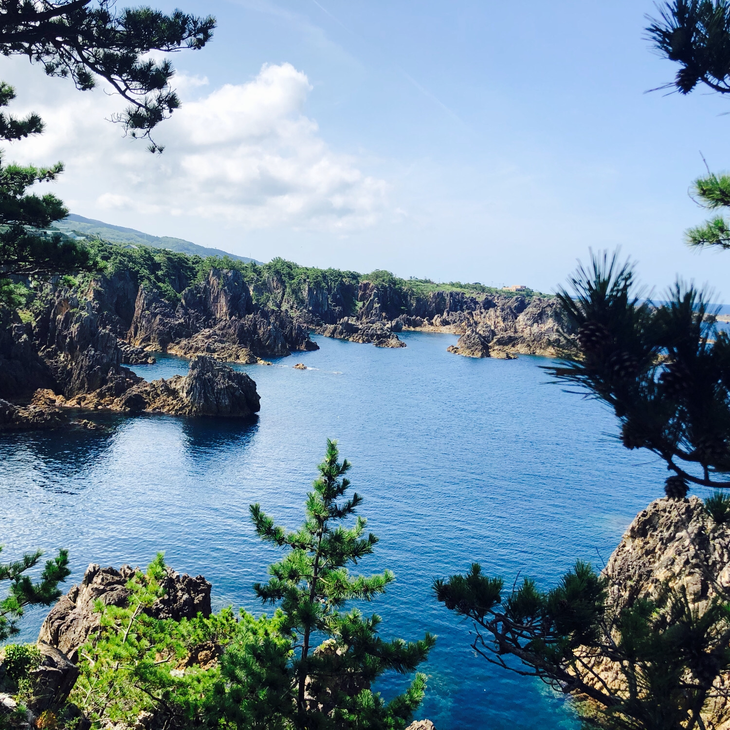 尖閣湾揚島遊園の写真 新潟県 佐渡島 尖閣湾 君の名は トリップノート