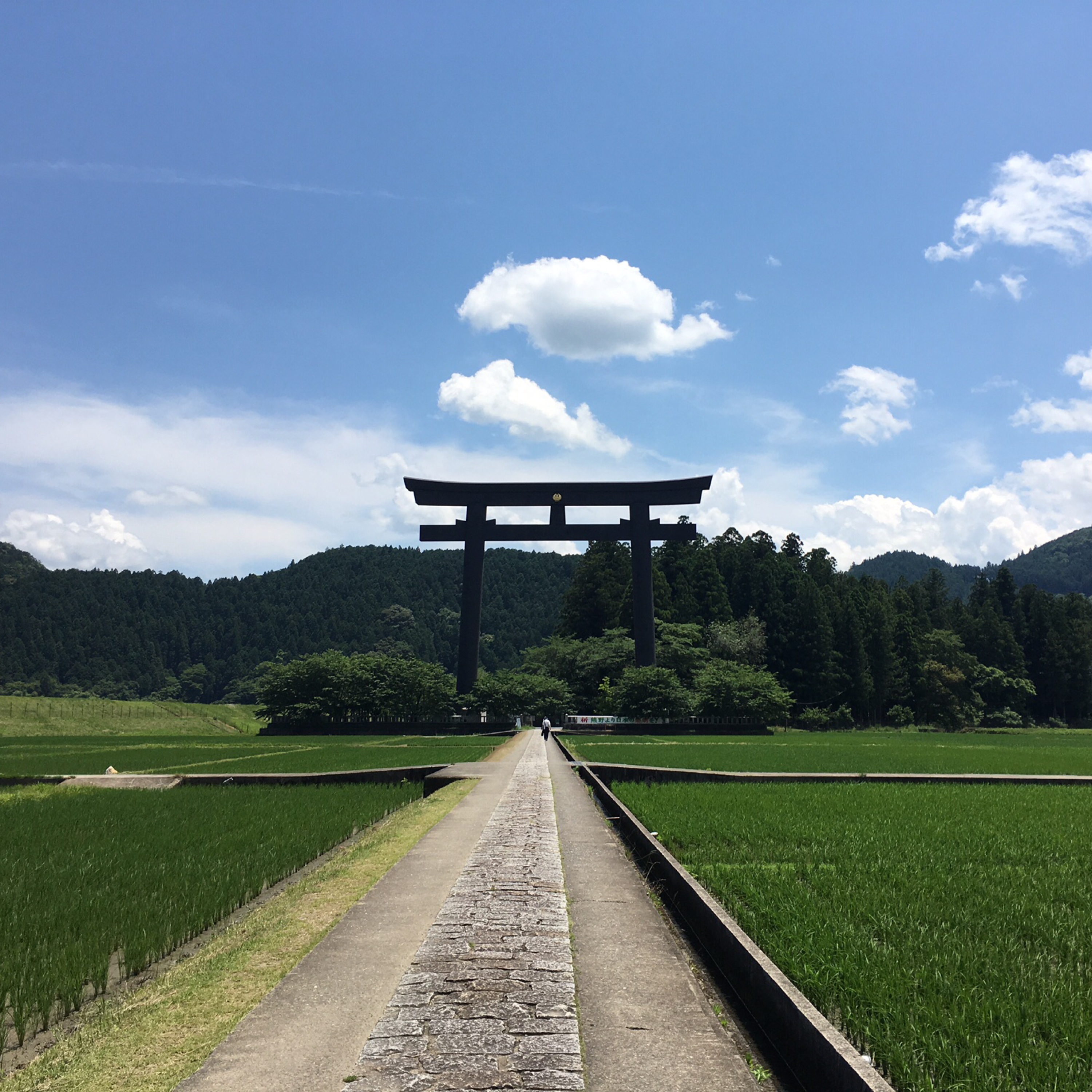 大斎原の写真熊野本宮大社の神が舞い降りたという大斎原おおゆのはら トリップノート
