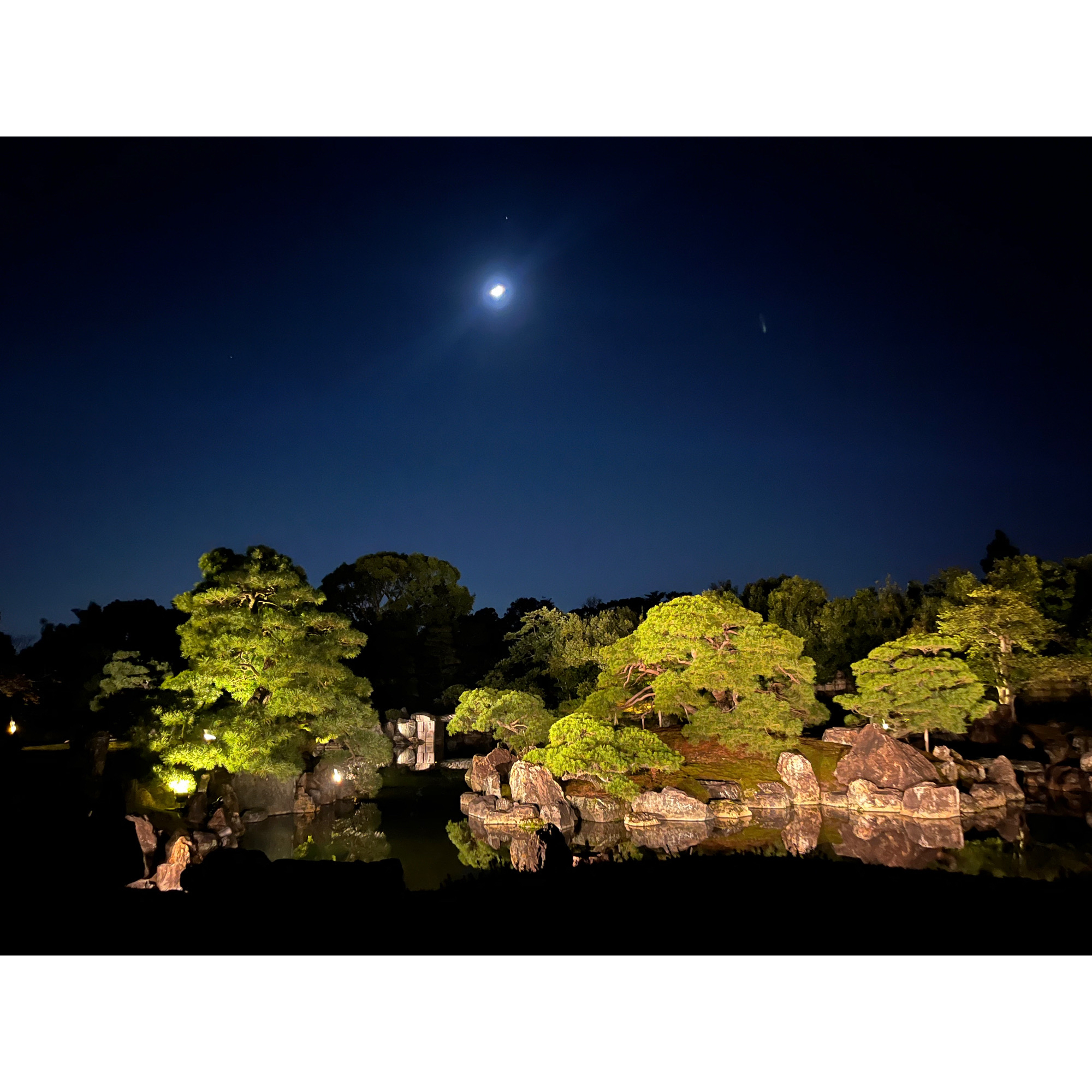 写真二条城NAKED FLOWERS 2023秋二条城のラ トリップノート