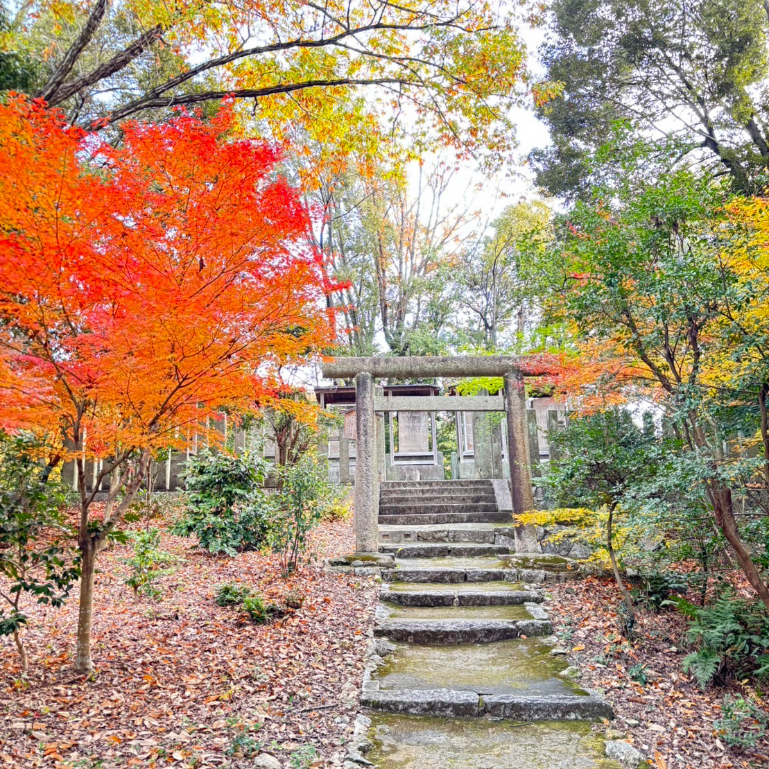 即宗院の写真薩摩藩士東征戦亡之碑東福寺塔頭の即宗院の奥にあり西郷 トリップノート