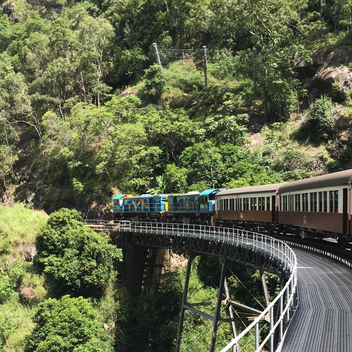 キュランダ観光鉄道の写真キュランダ高原列車 トリップノート